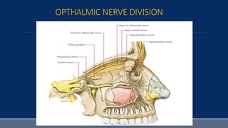 TRIGEMINAL NERVE AR.pptx