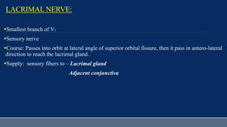TRIGEMINAL NERVE AR.pptx