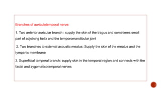 Trigeminal nerve | PPTX