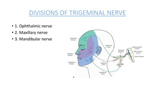 Trigeminal Nerve Dr.AD.pptx