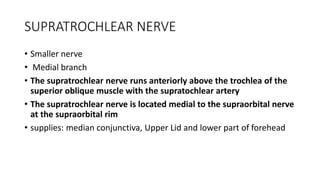 Trigeminal Nerve Dr.AD.pptx