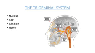 Trigeminal Nerve Dr.AD.pptx