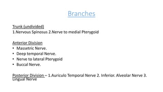 Trigeminal Nerve Dr.AD.pptx