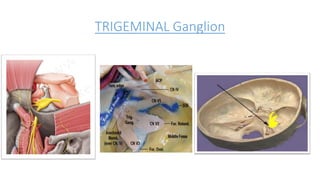 Trigeminal Nerve Dr.AD.pptx