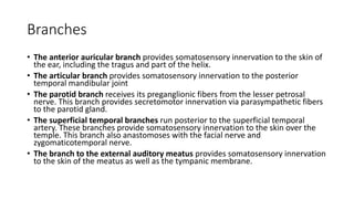 Trigeminal Nerve Dr.AD.pptx