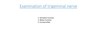 Trigeminal Nerve Dr.AD.pptx