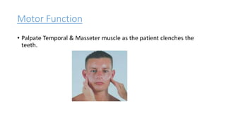 Trigeminal Nerve Dr.AD.pptx