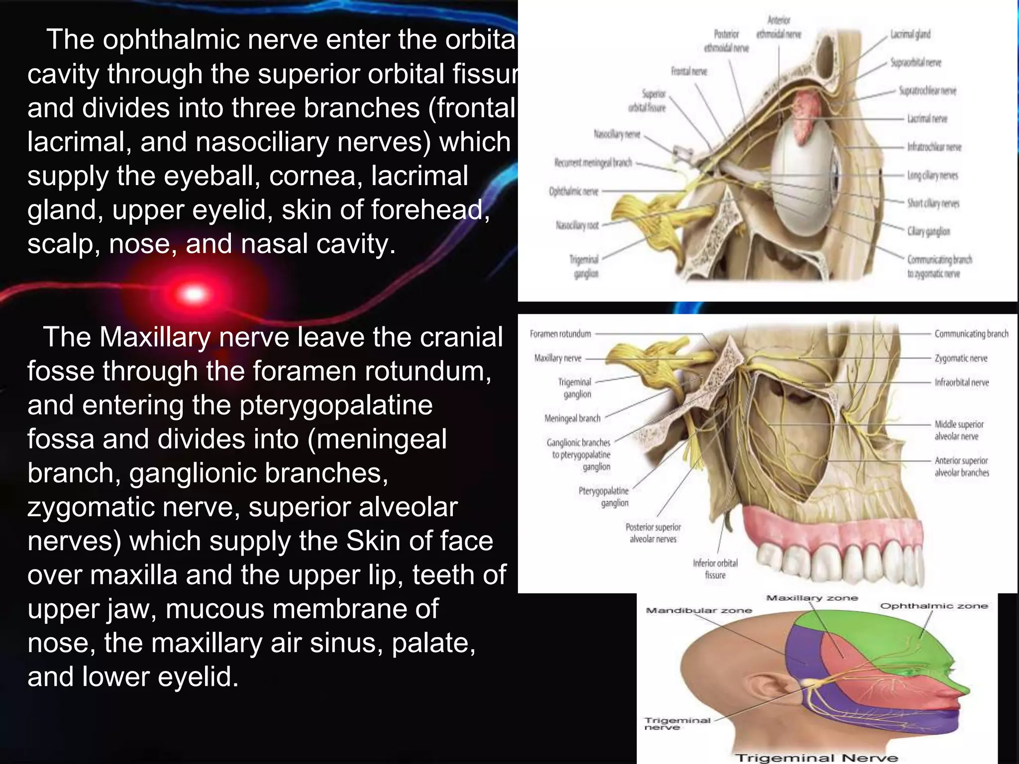 Trigeminal nerve examination | PPTX
