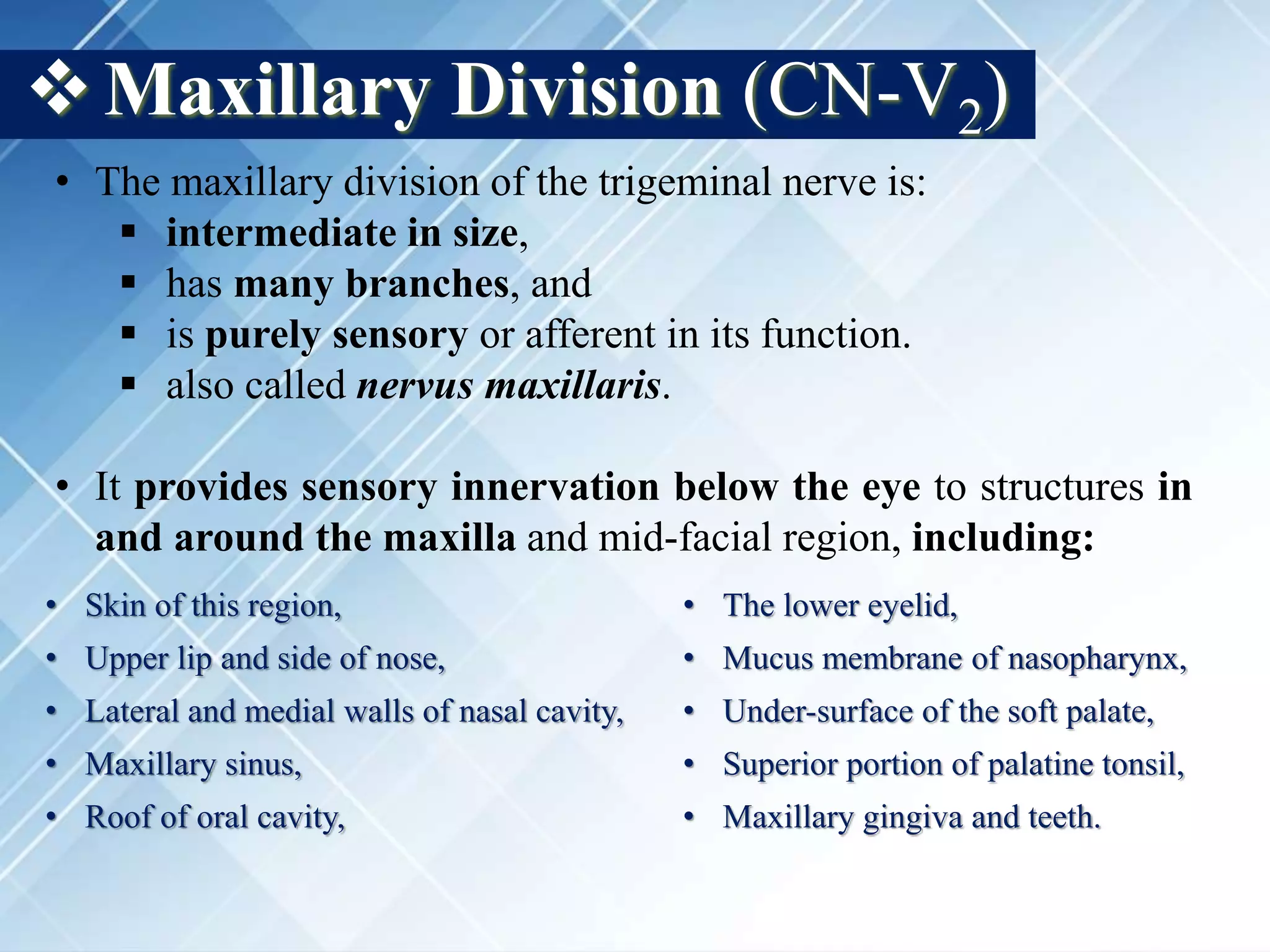 Trigeminal Nerve & its Applied Anatomy | PPTX