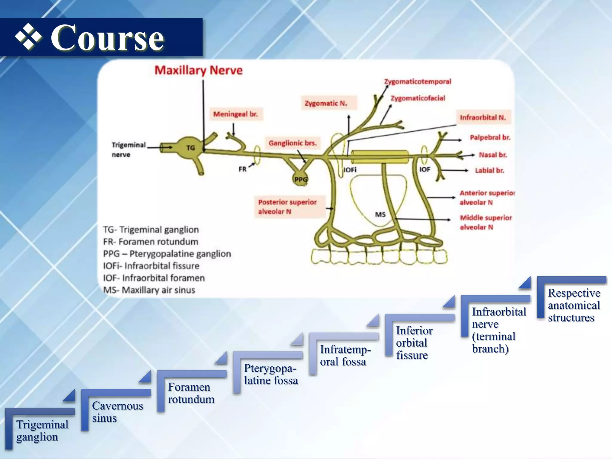 Trigeminal Nerve & its Applied Anatomy | PPTX