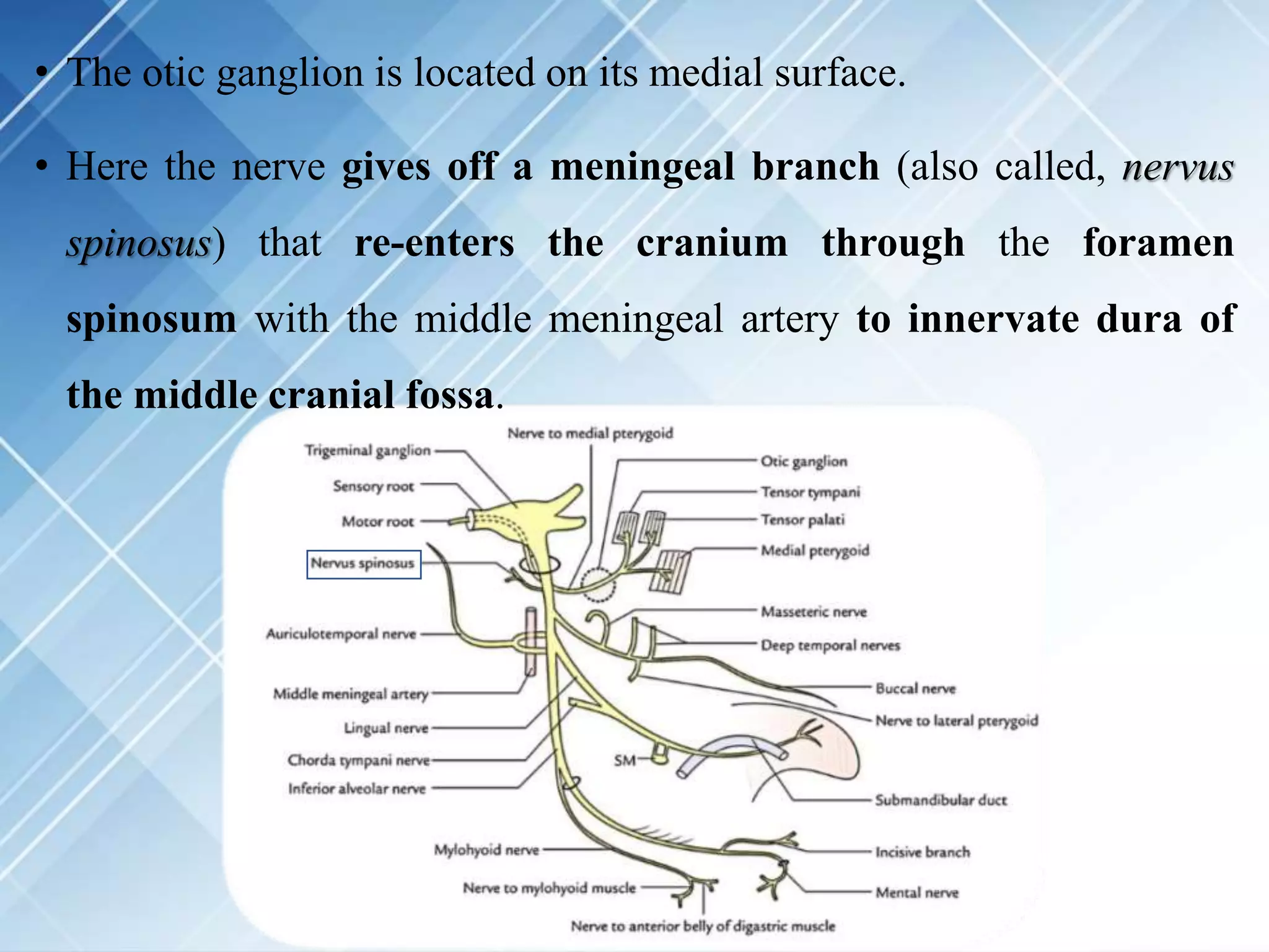 Trigeminal Nerve & its Applied Anatomy | PPTX