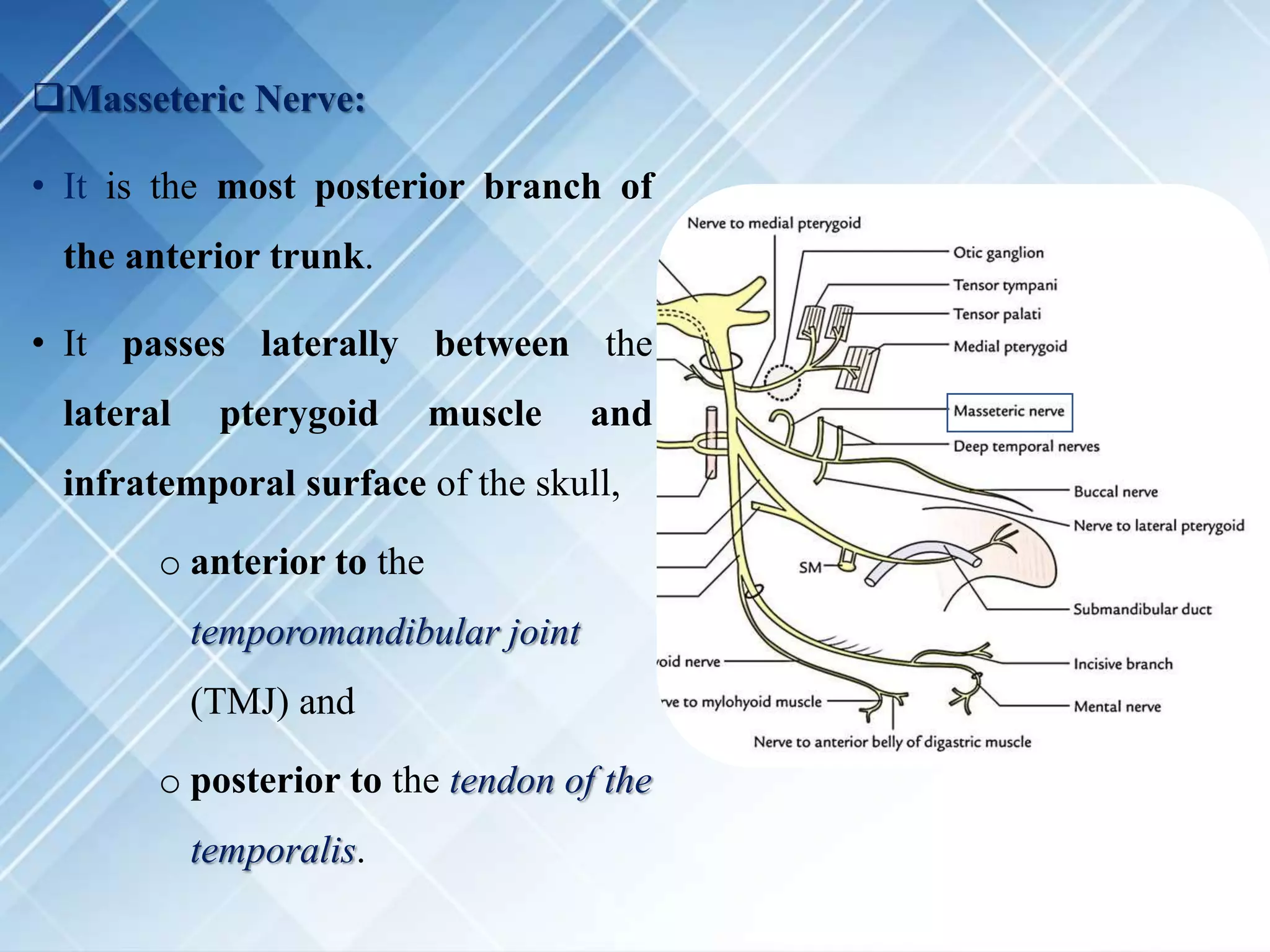 Trigeminal Nerve & its Applied Anatomy | PPTX