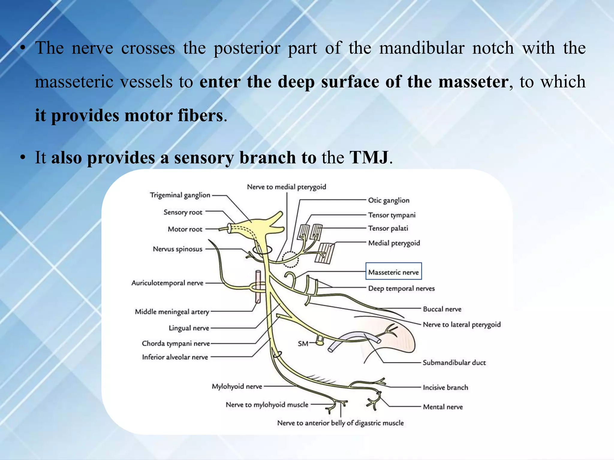 Trigeminal Nerve & its Applied Anatomy | PPTX