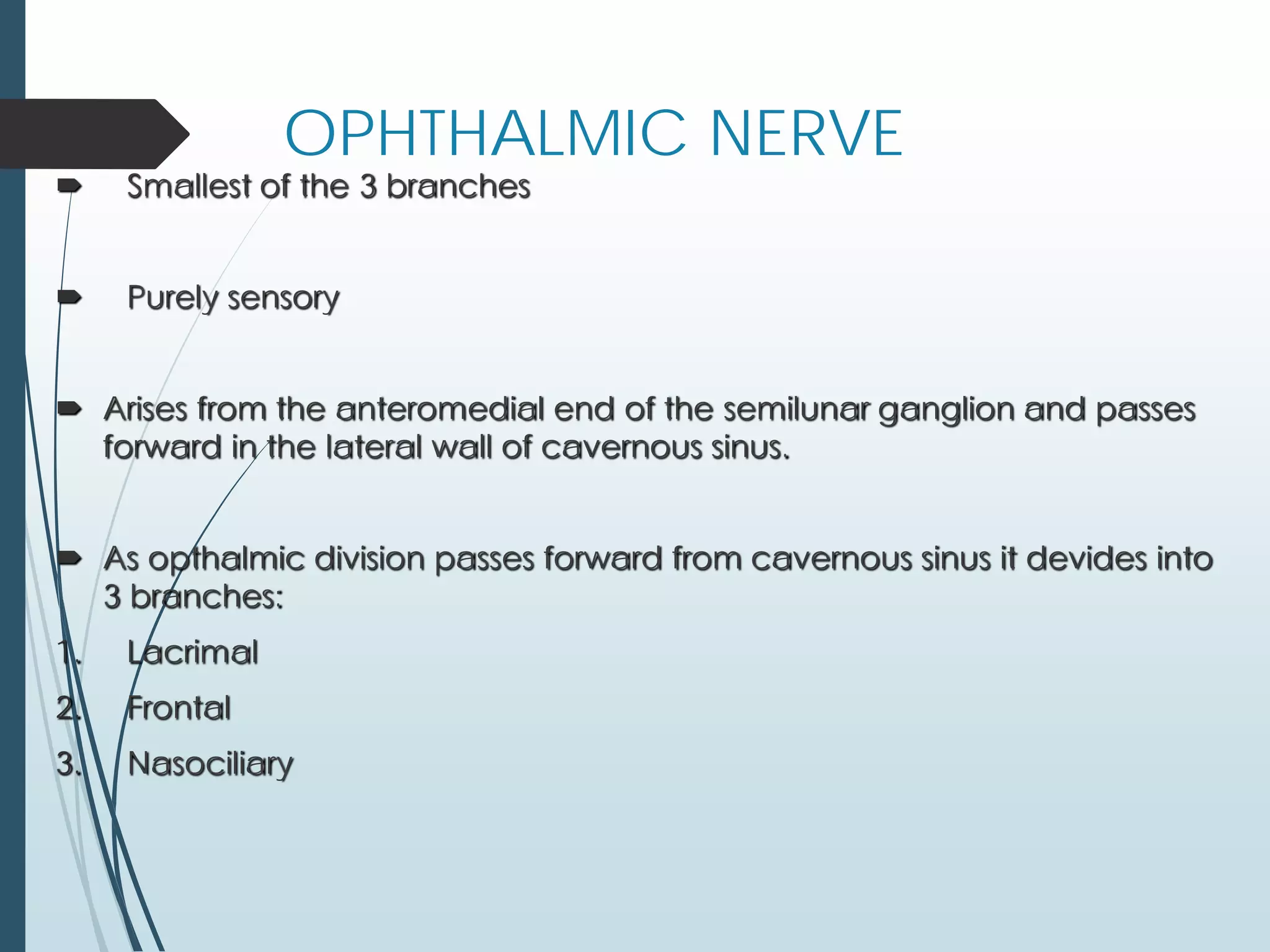 Trigeminal nerve | PDF