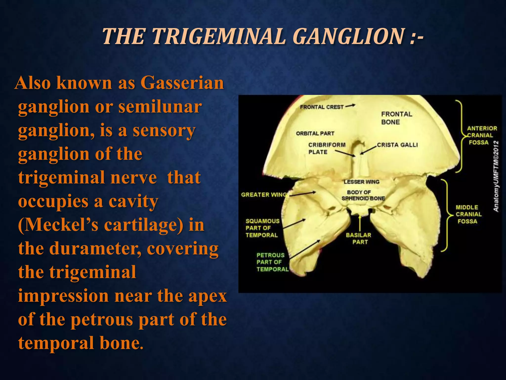 Trigeminal nerve maxillary nerve and clinical implication | PPTX