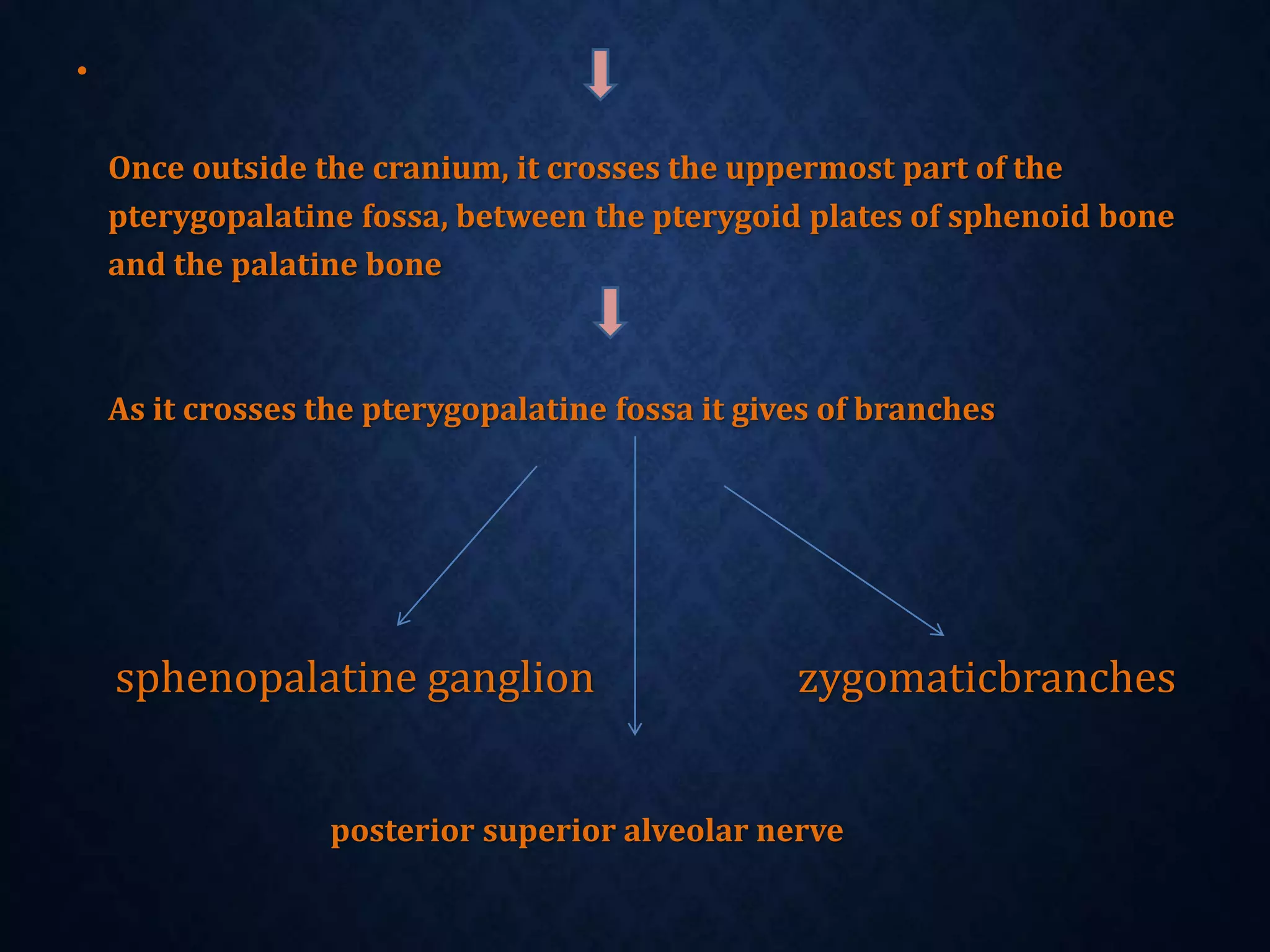 Trigeminal nerve maxillary nerve and clinical implication | PPTX