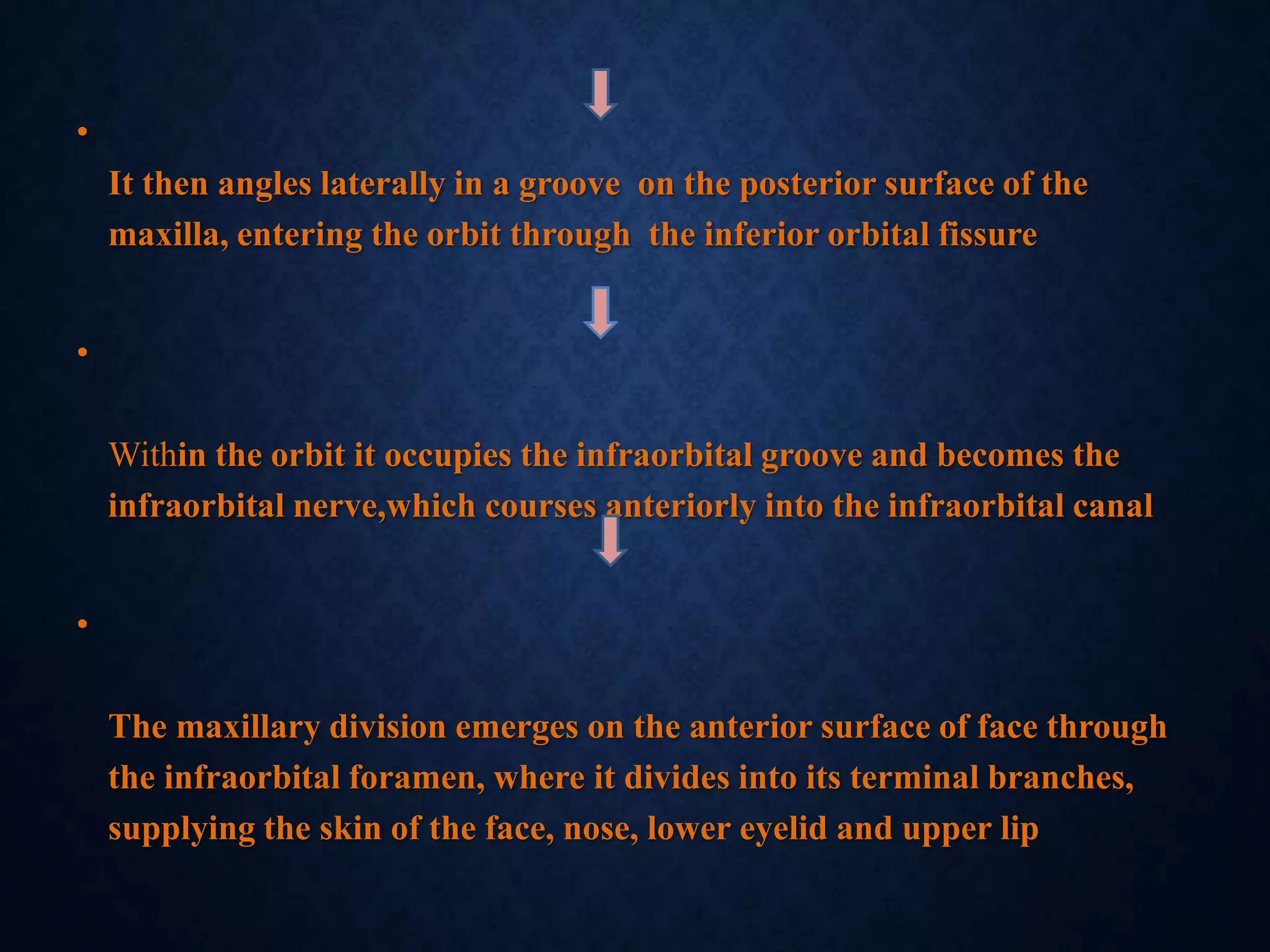 Trigeminal nerve maxillary nerve and clinical implication | PPTX