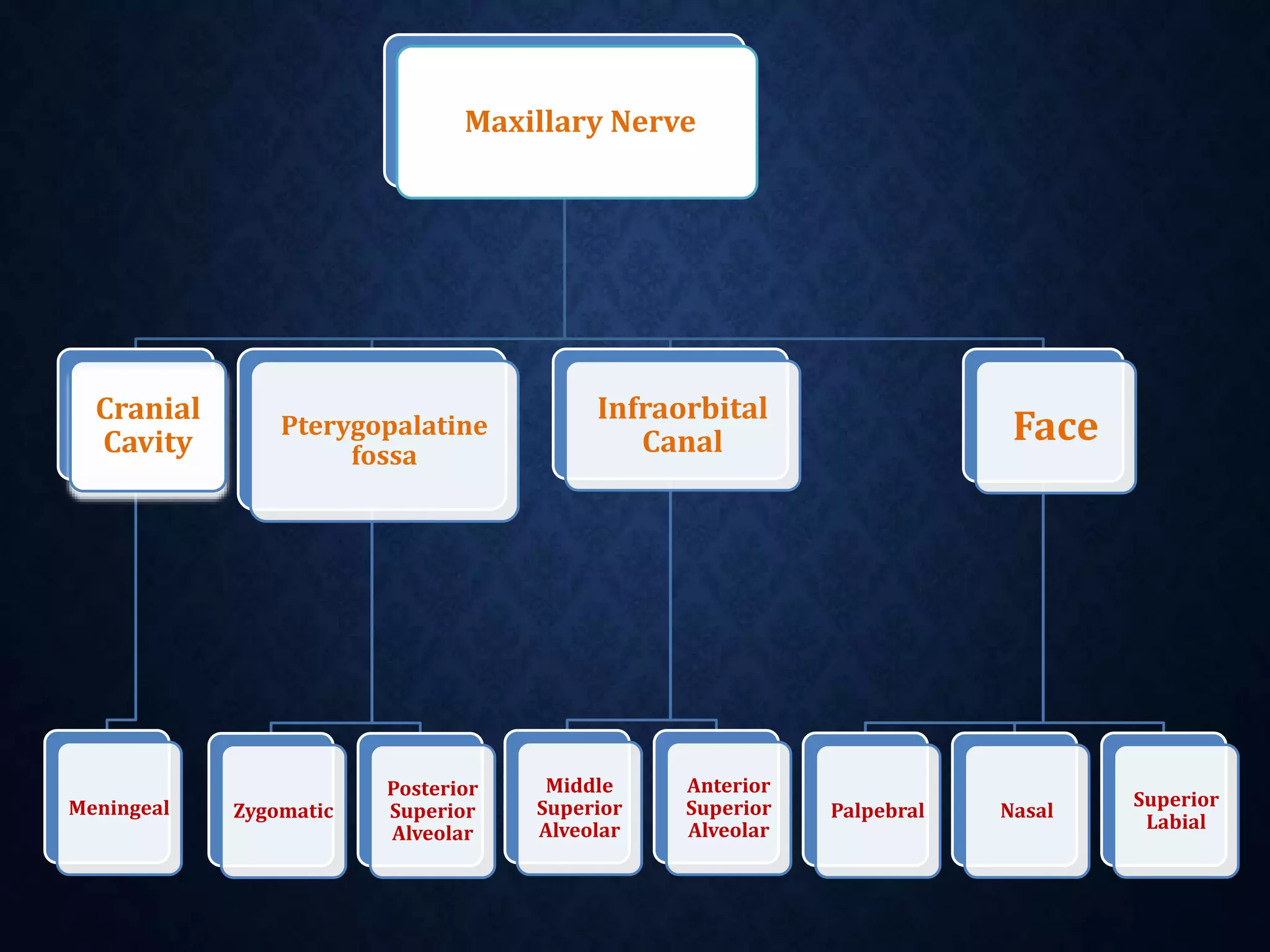 Trigeminal nerve maxillary nerve and clinical implication | PPTX