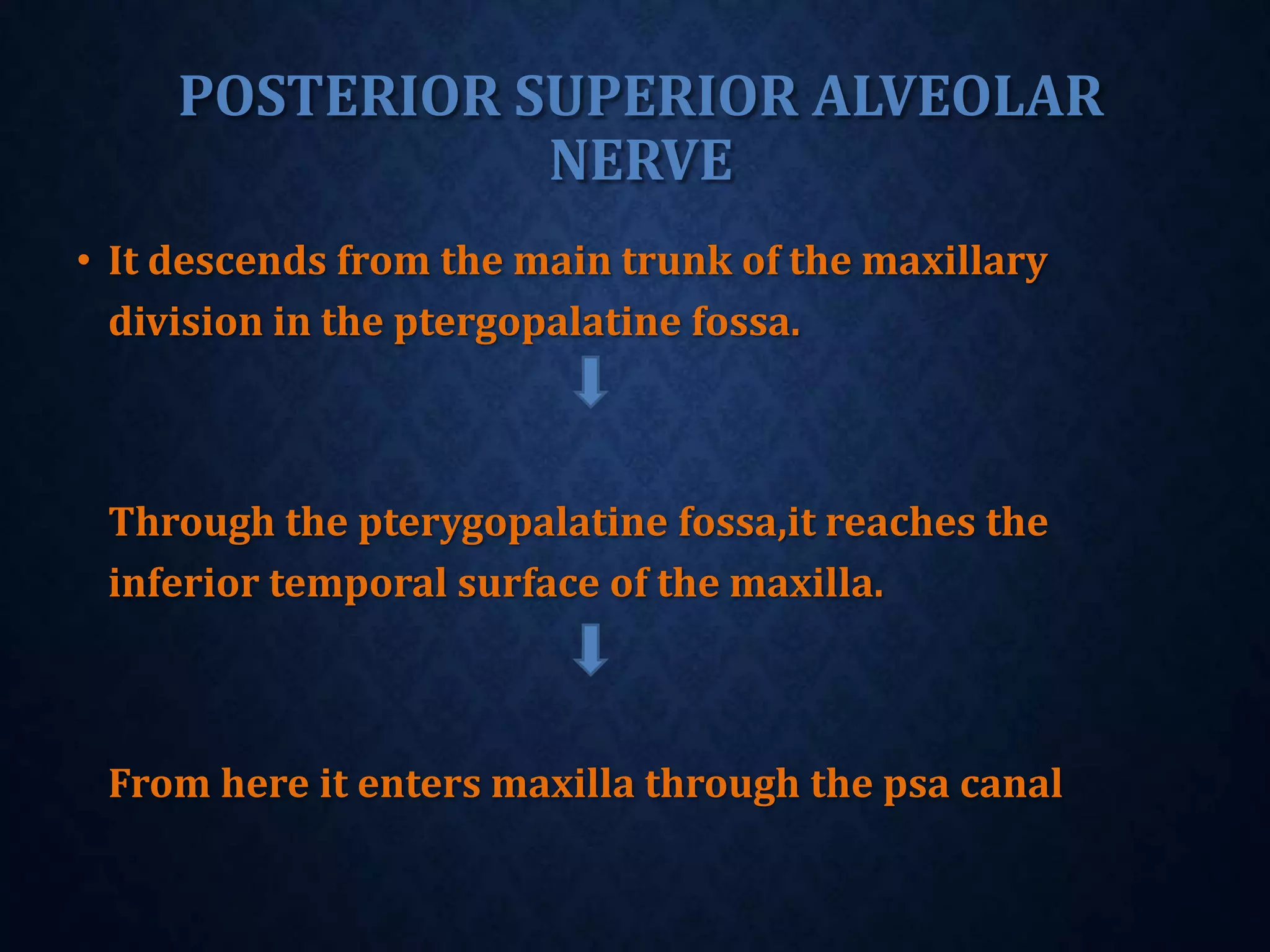 Trigeminal nerve maxillary nerve and clinical implication | PPTX