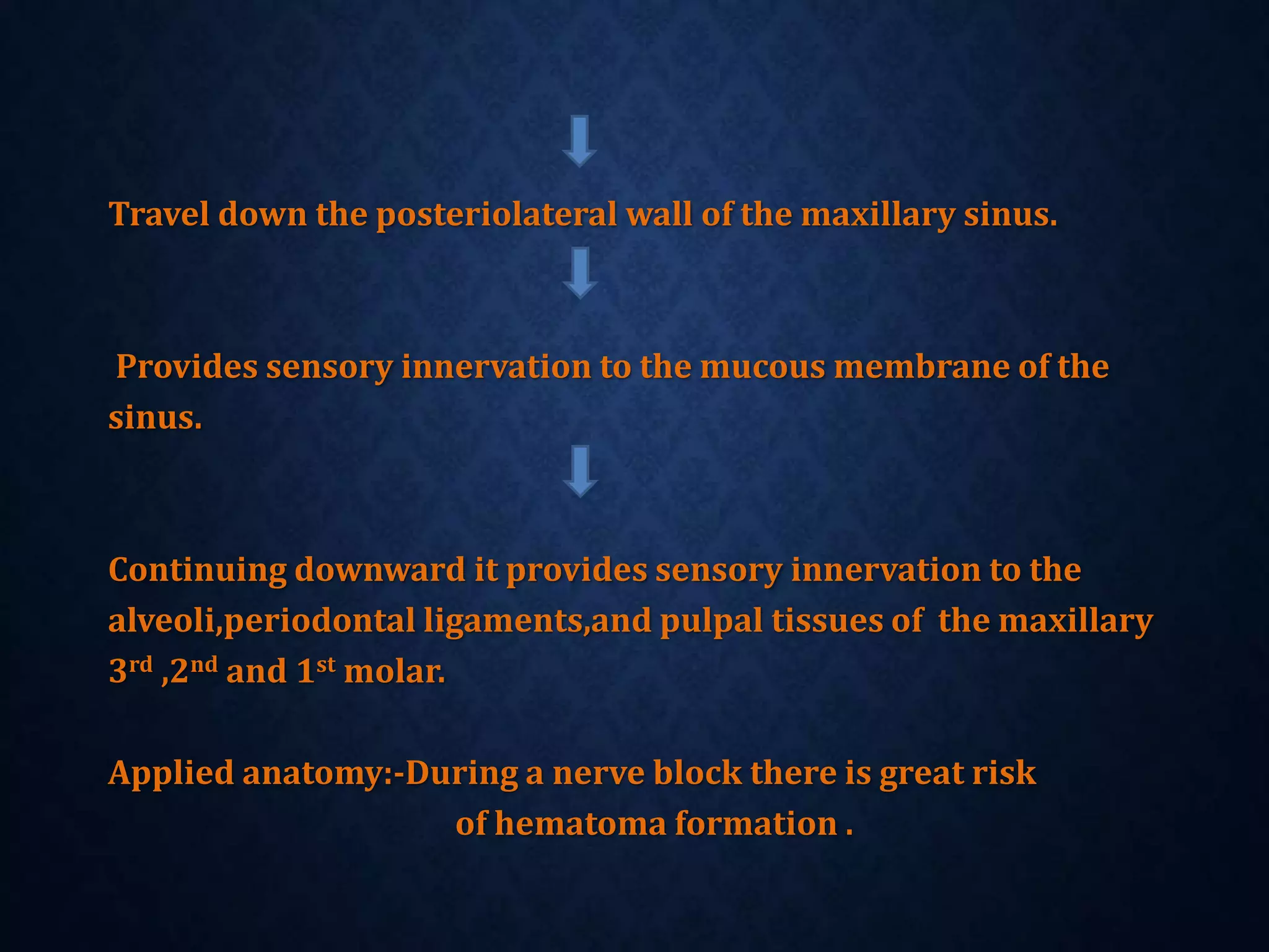Trigeminal nerve maxillary nerve and clinical implication | PPTX