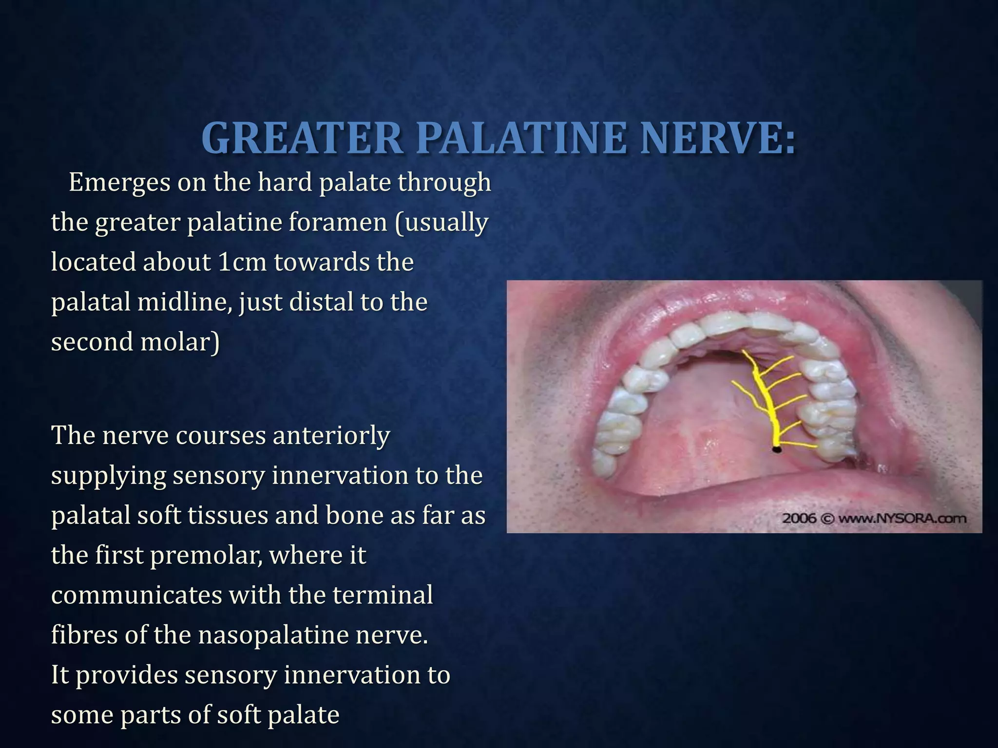 Trigeminal nerve maxillary nerve and clinical implication | PPTX