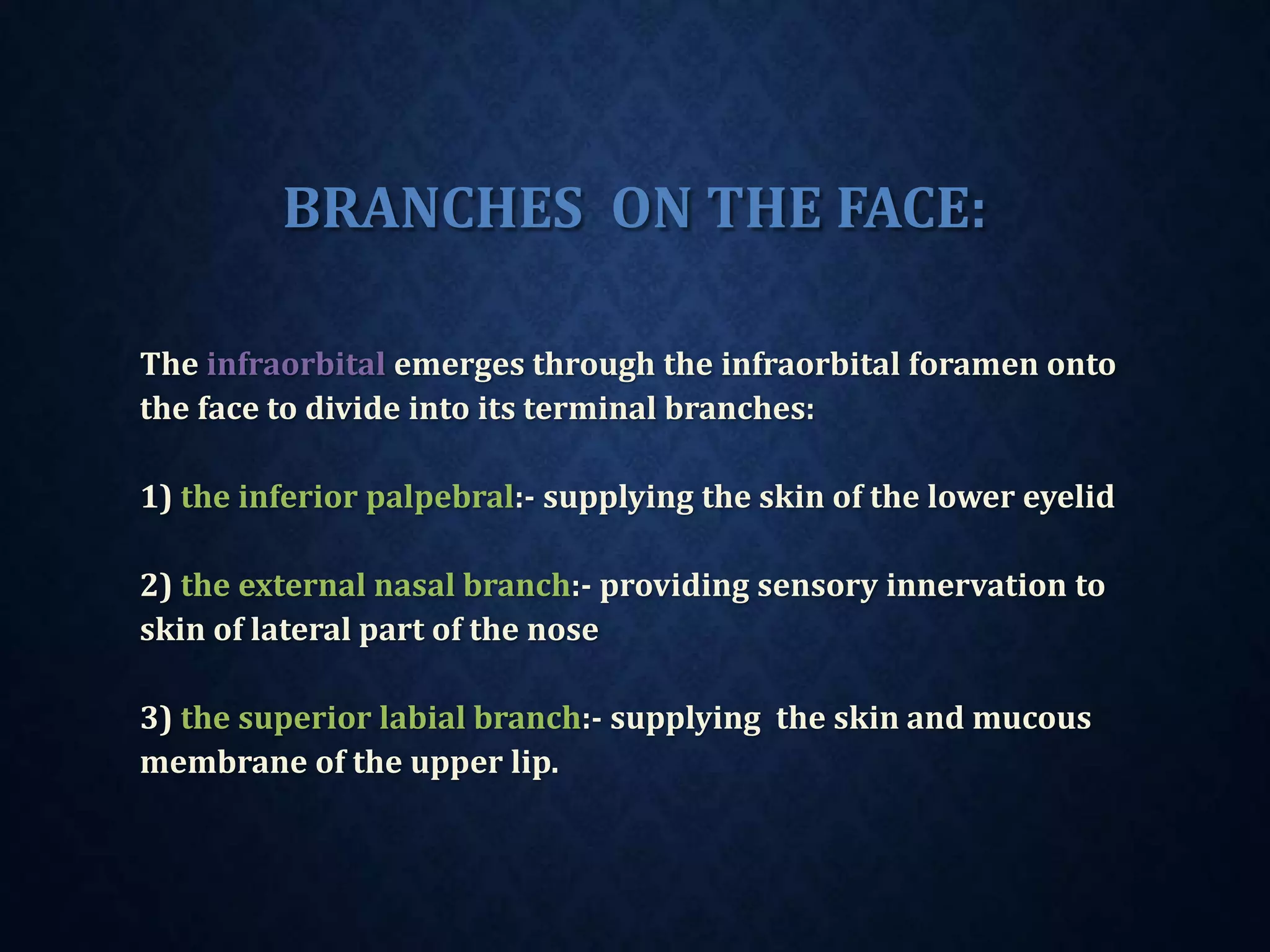 Trigeminal nerve maxillary nerve and clinical implication | PPTX