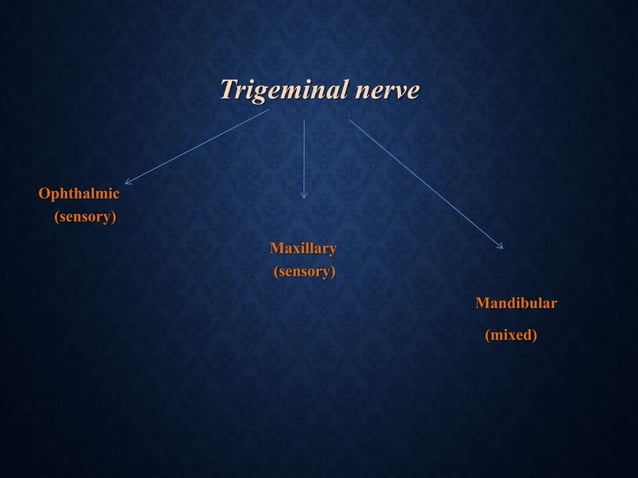 Trigeminal nerve maxillary nerve and clinical implication | PPTX