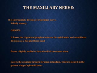 Trigeminal nerve maxillary nerve and clinical implication | PPTX