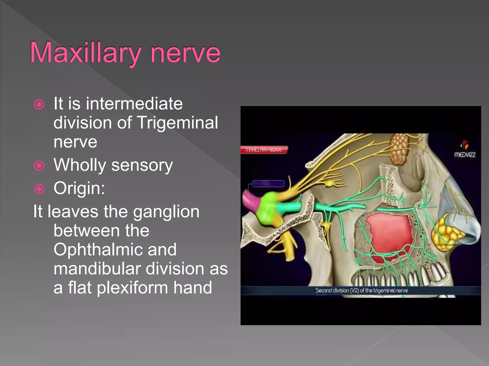 Trigeminal nerve ppt | PPTX