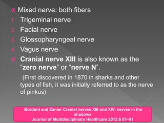 Trigeminal nerve ppt | PPTX