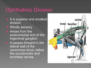 Trigeminal nerve ppt | PPTX