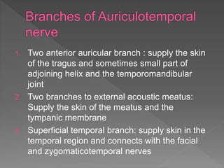 Trigeminal nerve ppt | PPTX
