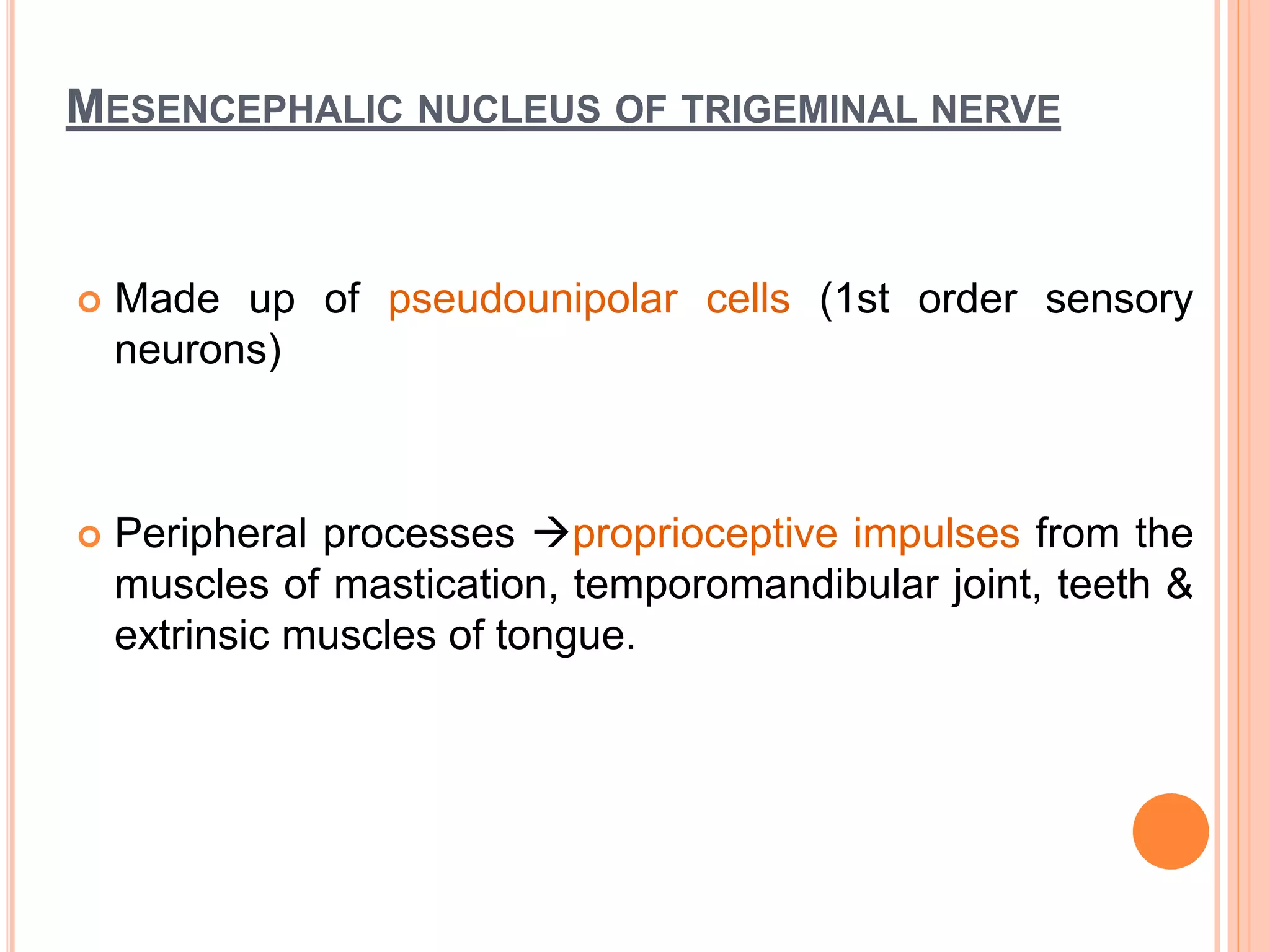 Trigeminal nerve: A clinical overview in ENT | PPTX