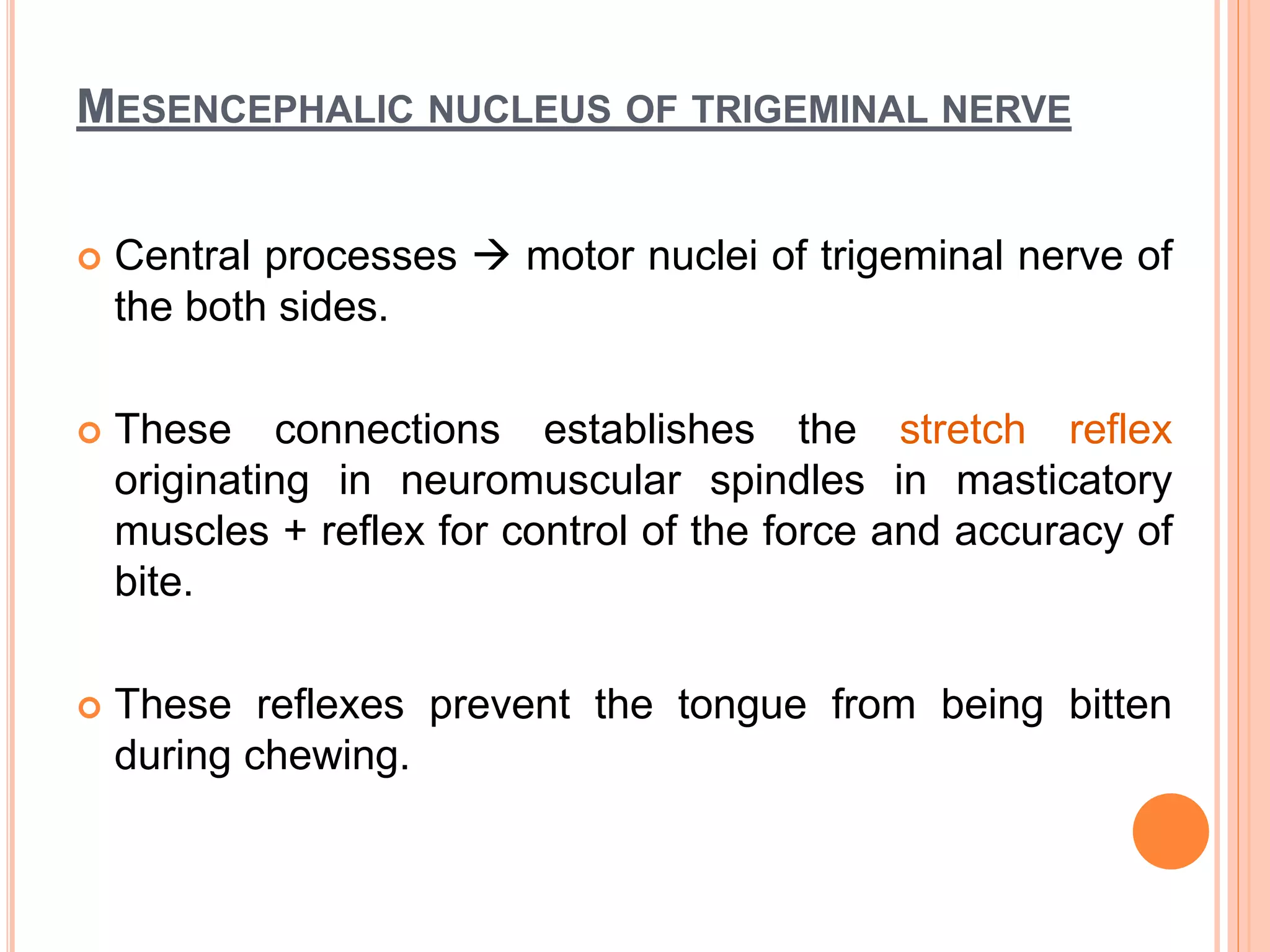 Trigeminal nerve: A clinical overview in ENT | PPTX