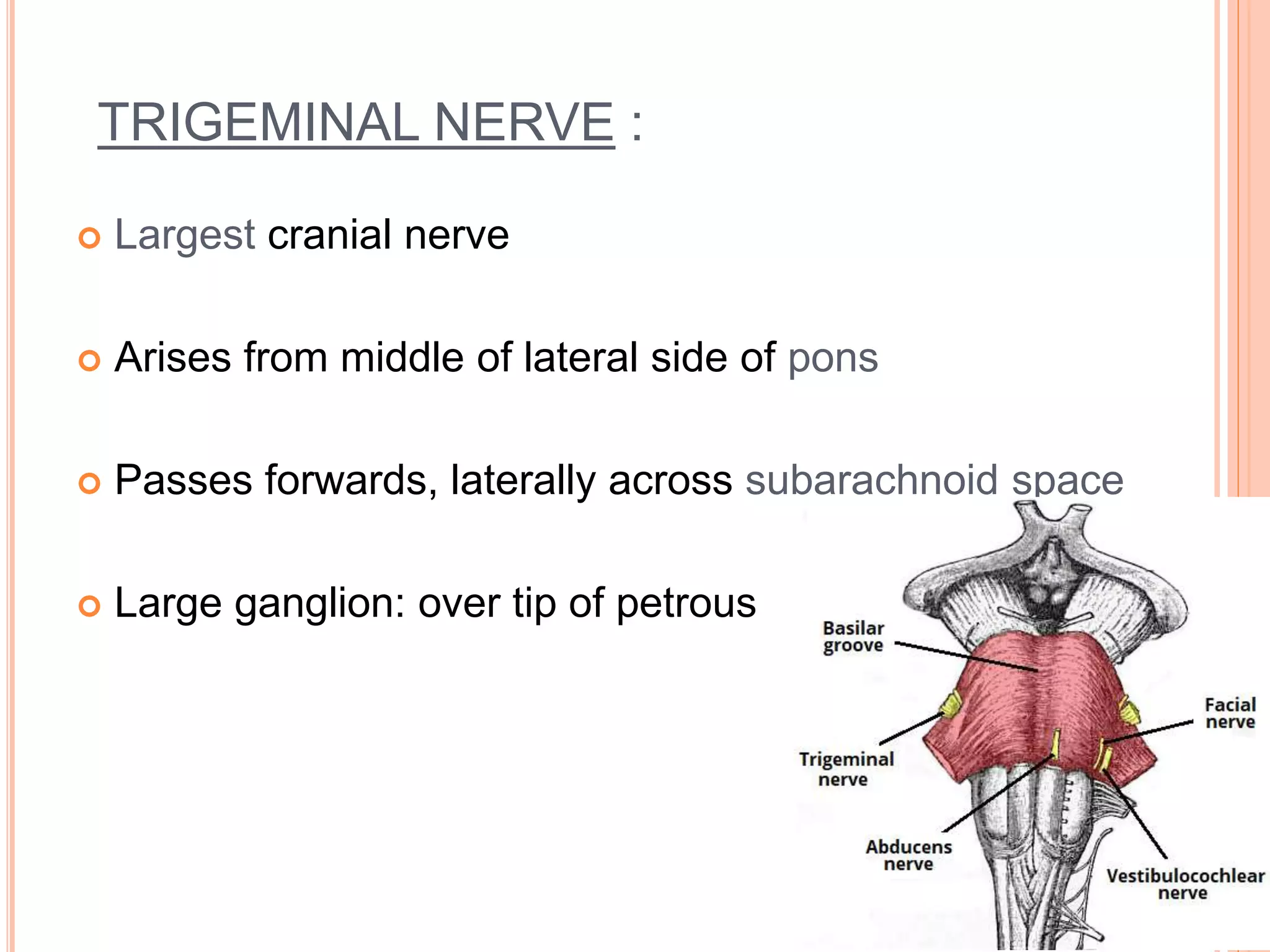 Trigeminal nerve: A clinical overview in ENT | PPTX