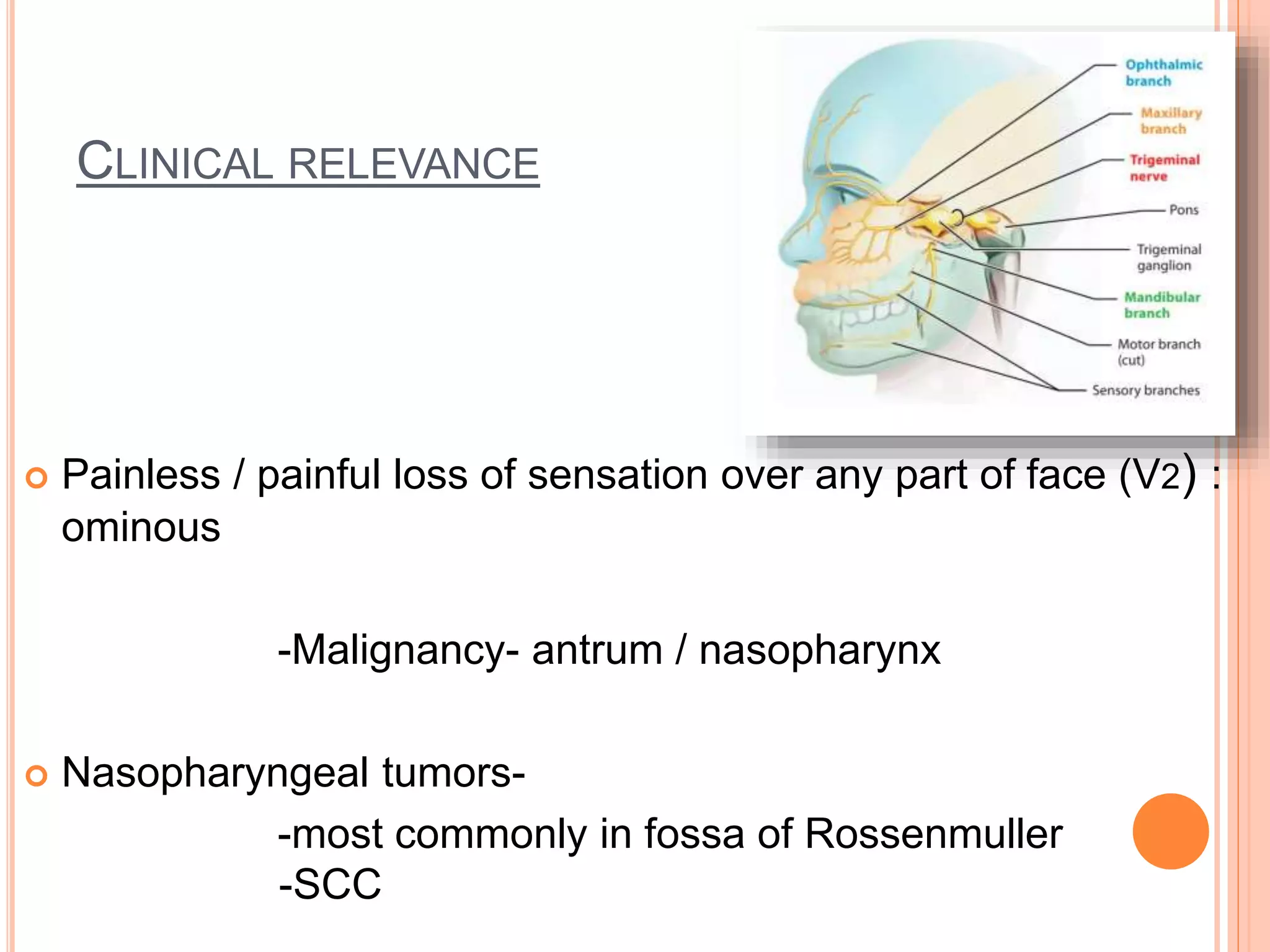 Trigeminal nerve: A clinical overview in ENT | PPTX