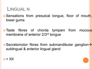 Trigeminal nerve: A clinical overview in ENT | PPTX