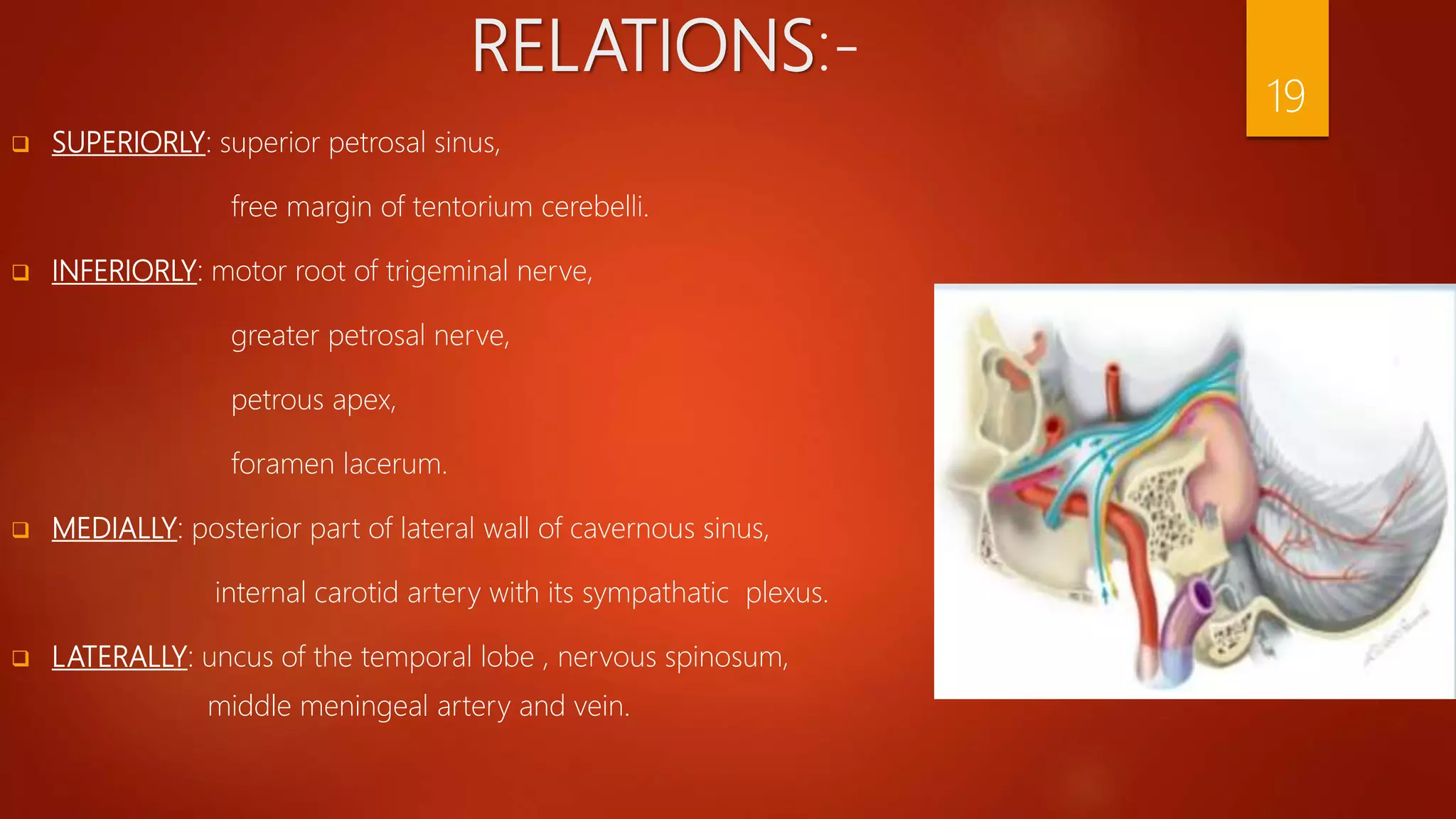 Trigeminal nerve ppt | PPTX