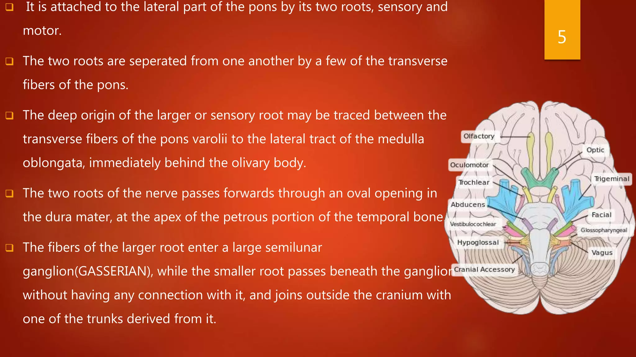Trigeminal nerve ppt | PPTX