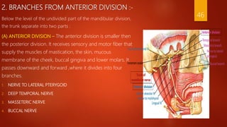 Trigeminal nerve ppt | PPTX