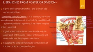 Trigeminal nerve ppt | PPTX