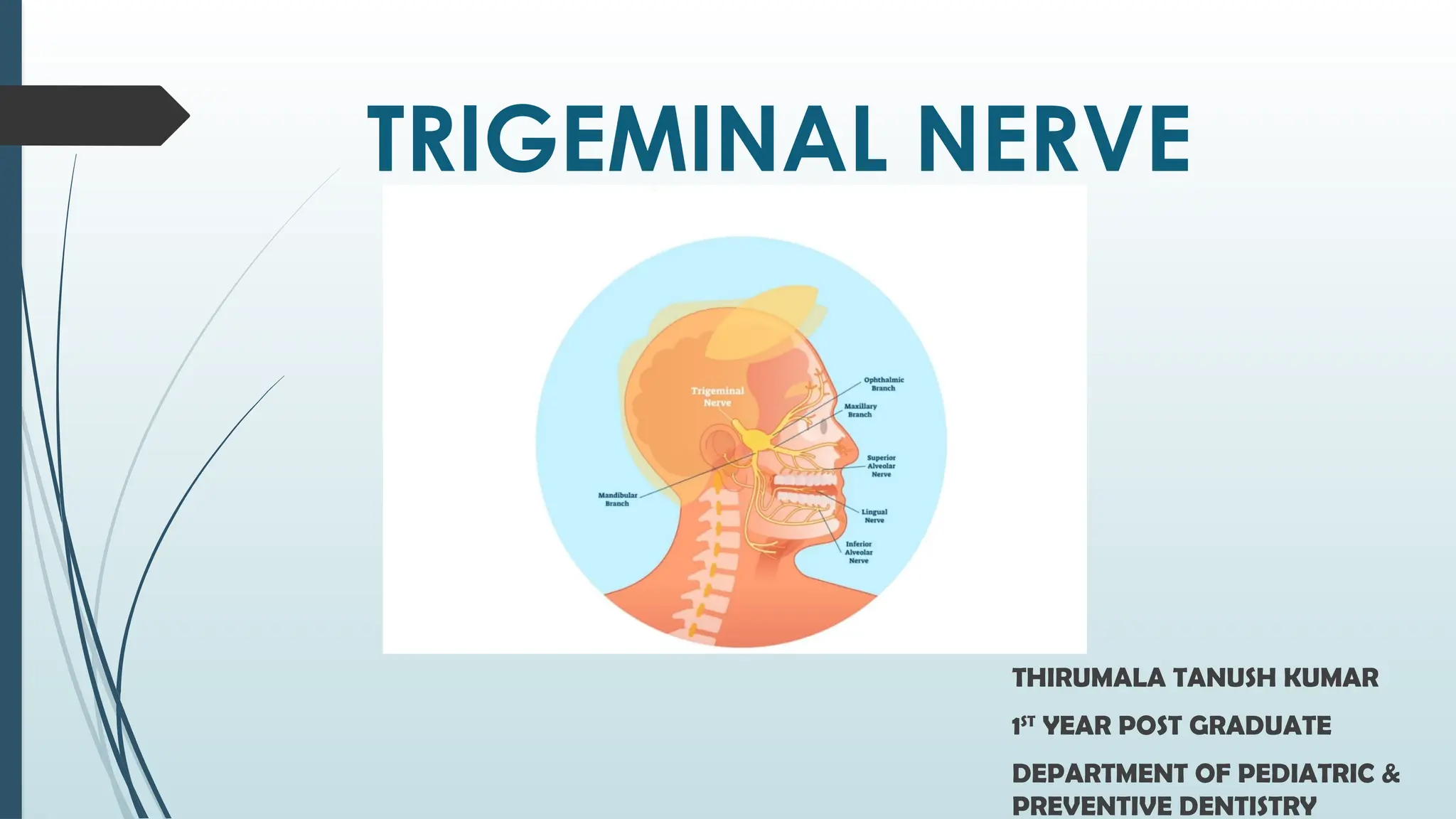 TRIGEMINAL NERVE trigeminal nuclei .pptx
