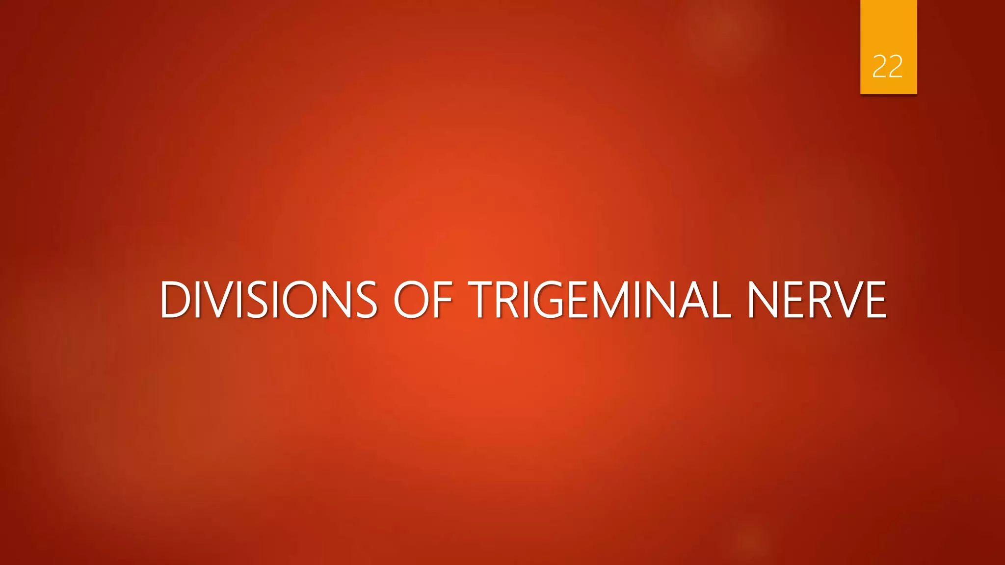 Trigeminal nerve | PPT