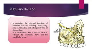 Trigeminal nerve | PPTX