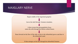 Trigeminal nerve | PPTX
