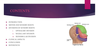 Trigeminal nerve | PPTX
