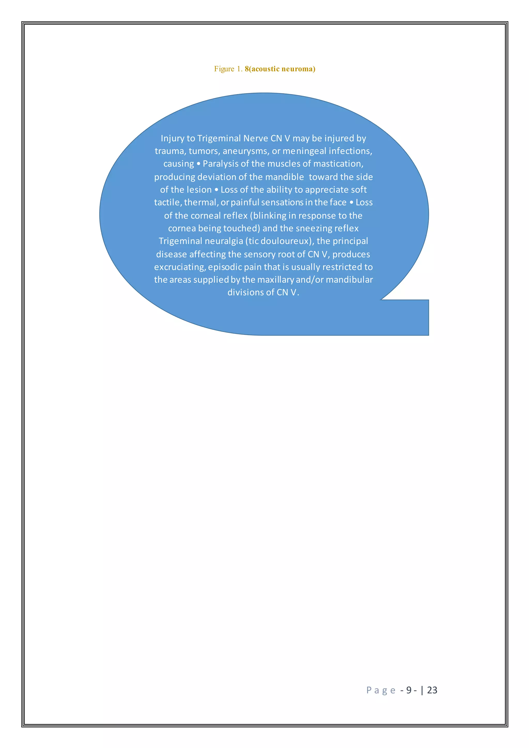 Trigeminal nerve the maxillary and the mandibular branches1 | DOCX ...