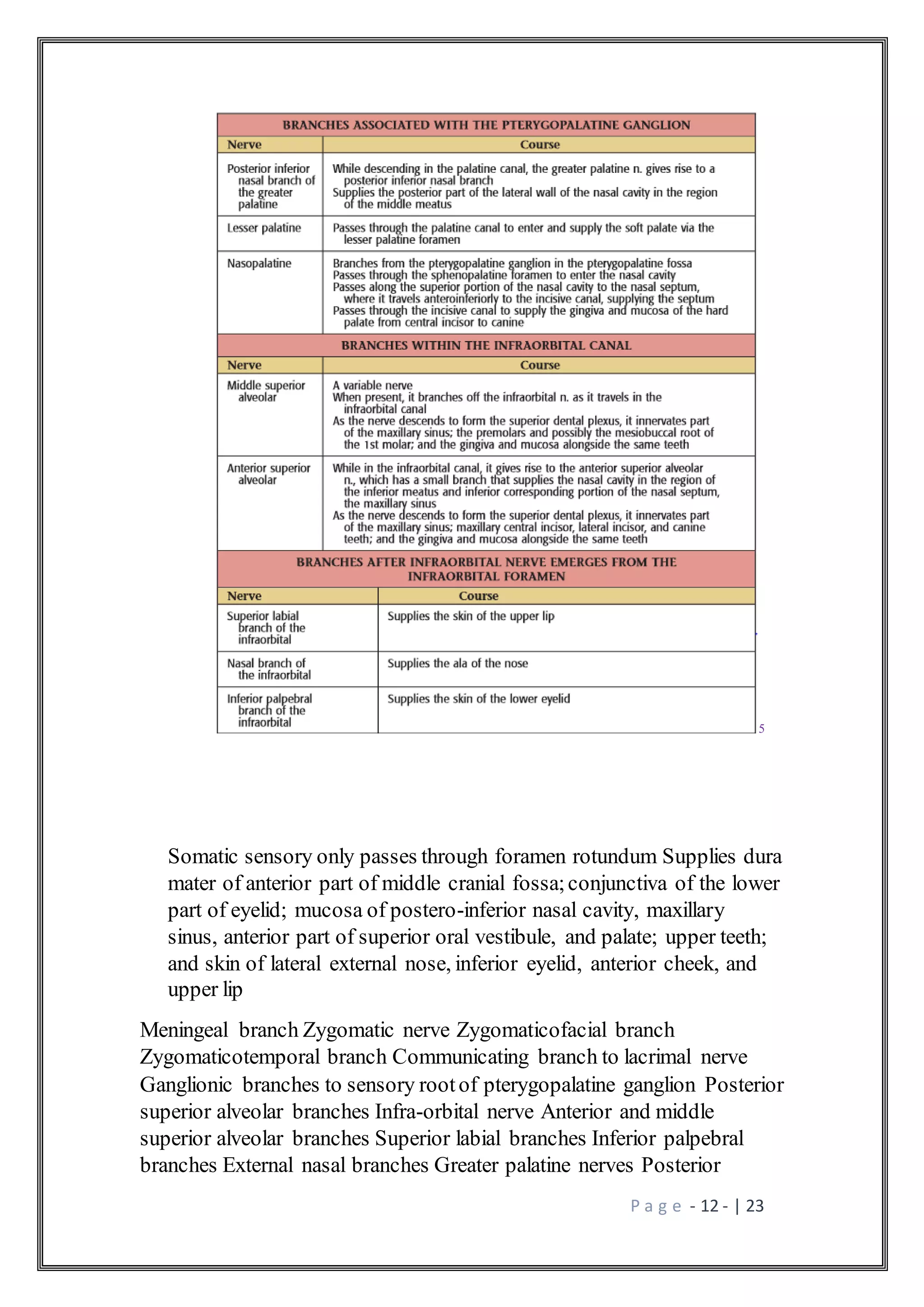Trigeminal nerve the maxillary and the mandibular branches1 | PDF