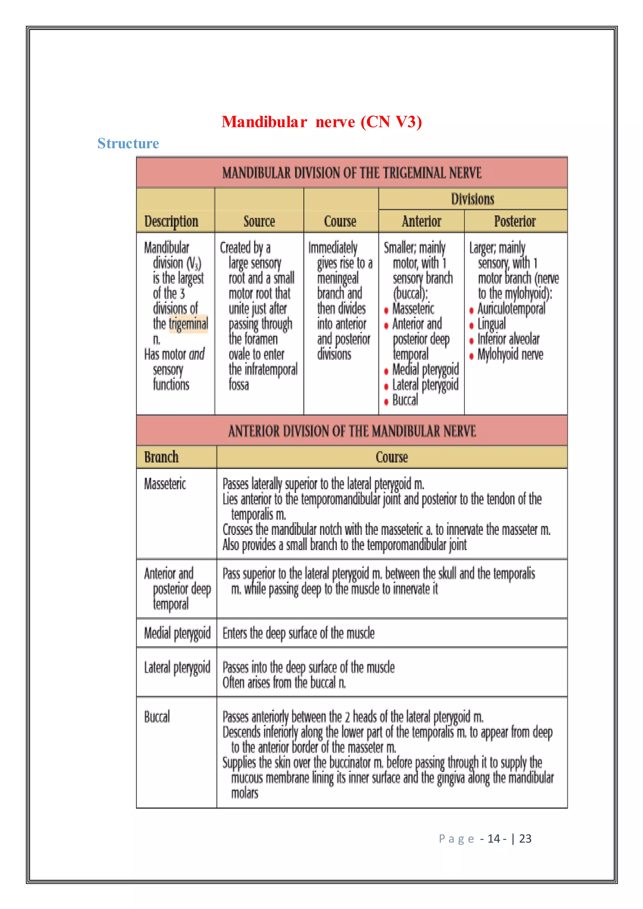 Trigeminal nerve the maxillary and the mandibular branches1 | DOCX ...