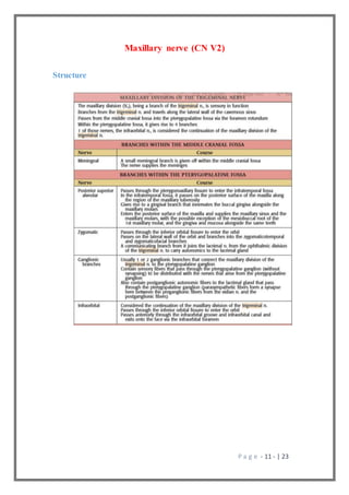 Trigeminal nerve the maxillary and the mandibular branches1 | DOCX ...